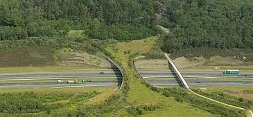 Projeto que prevê construção de ecodutos em rodovias é reapresentado na ...