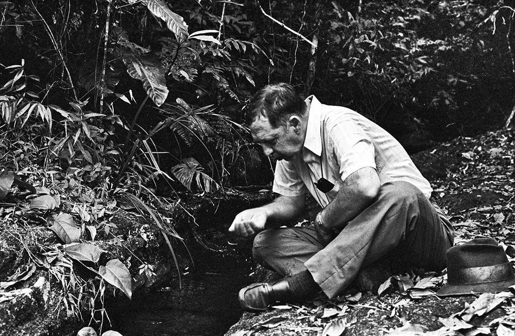 'Ruschi: o guardião da floresta' narra vida e obra do mais ilustre cientista capixaba - Século ...