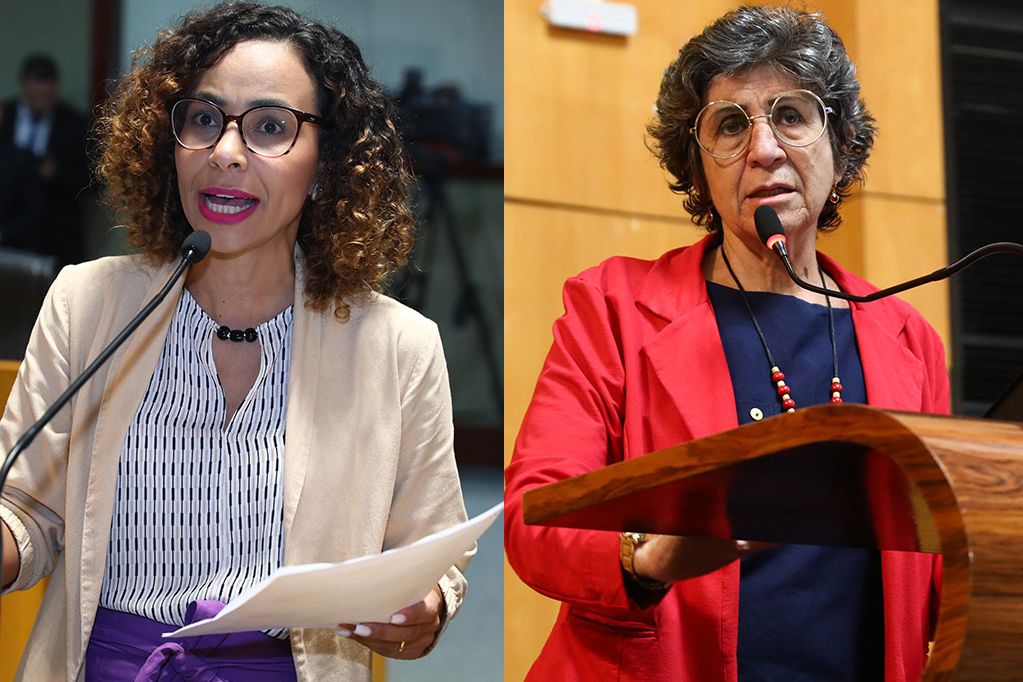 Camila e Iriny denunciam interesse político por trás do consórcio entre ...